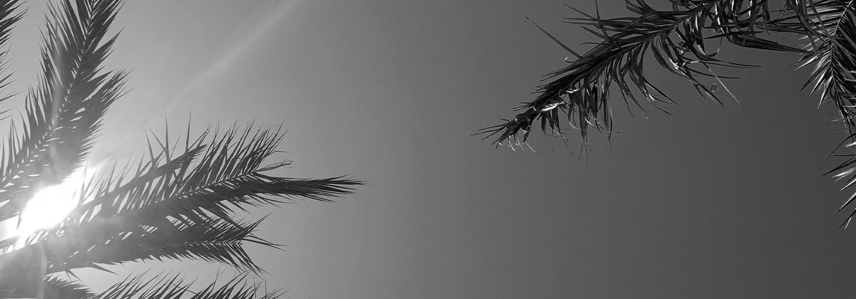 AU18+ | US14+ Size Swimwear – Artesands Swim Australia